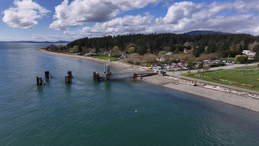 Commercial crabber tied to Guemes Island carcasses believed to be foxes ...