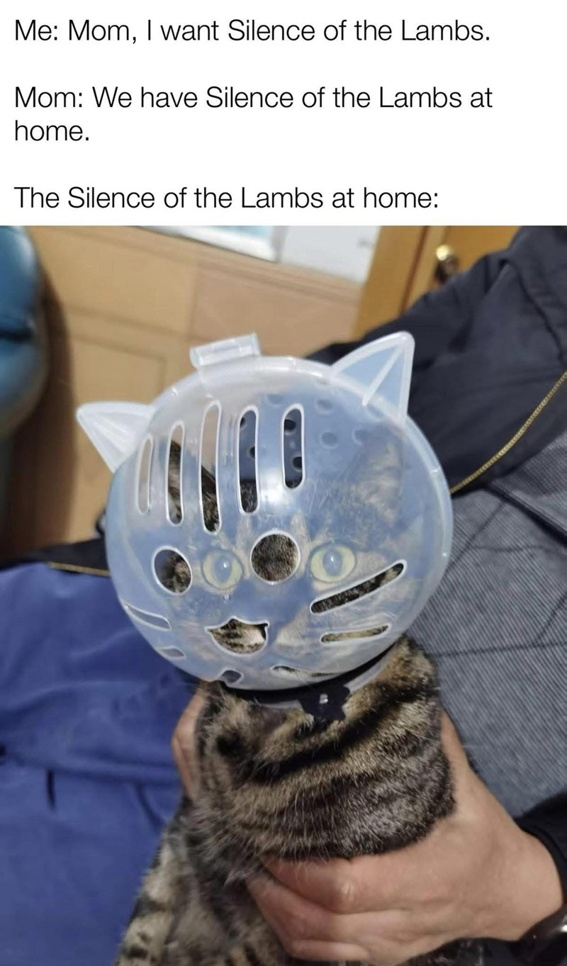 24 memes worth their weight in gold
