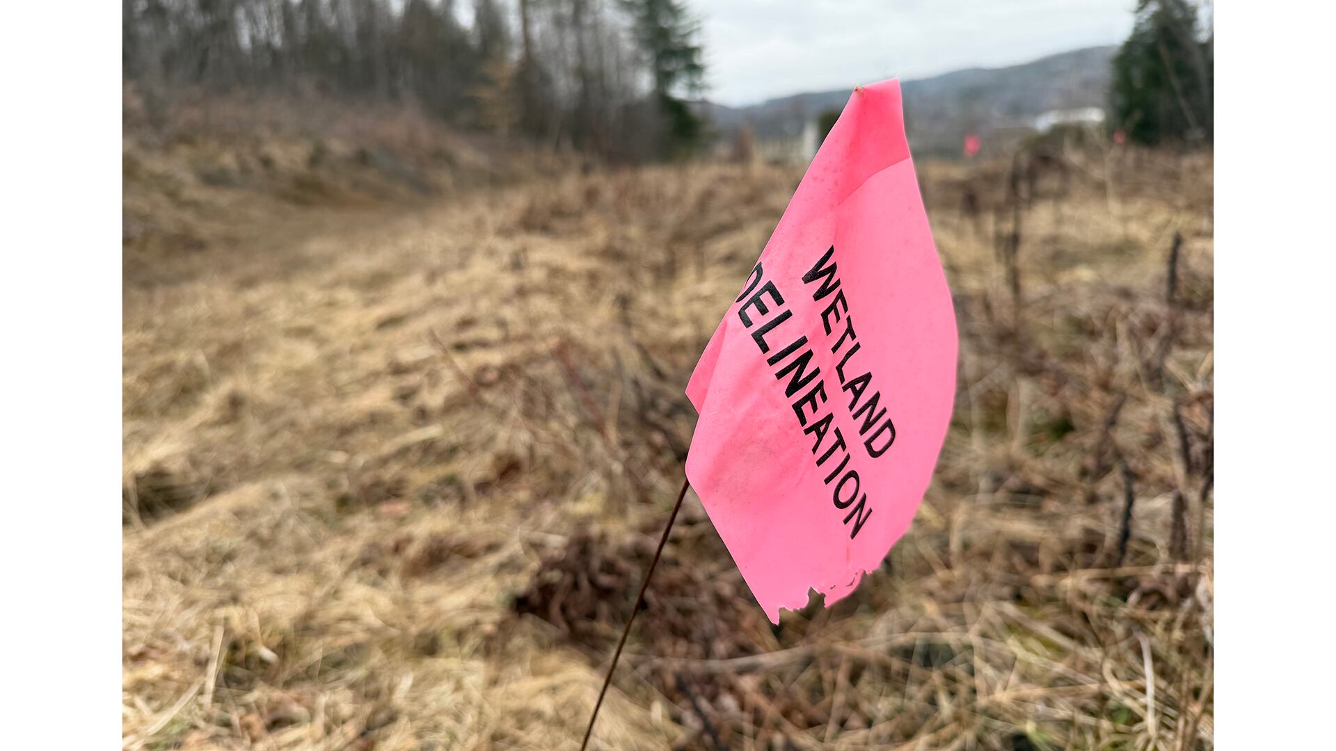 Lawmakers reject wetland rule changes aimed at boosting housing