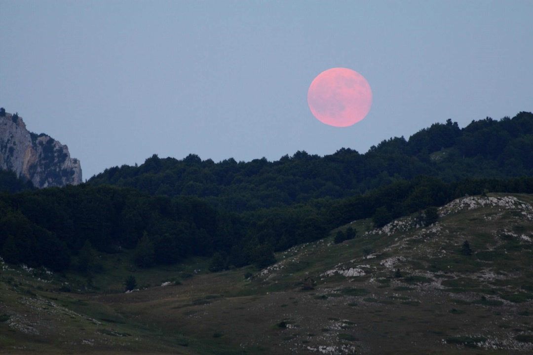 Rare pink moon visible in Texas. Here's when