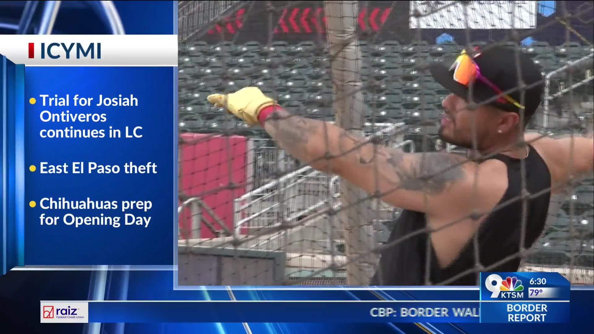Chihuahuas brand best in the biz