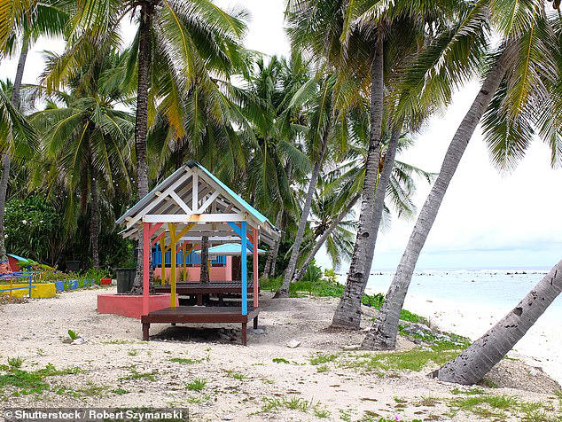 Inside the world's fattest country - where 95% of residents are ...
