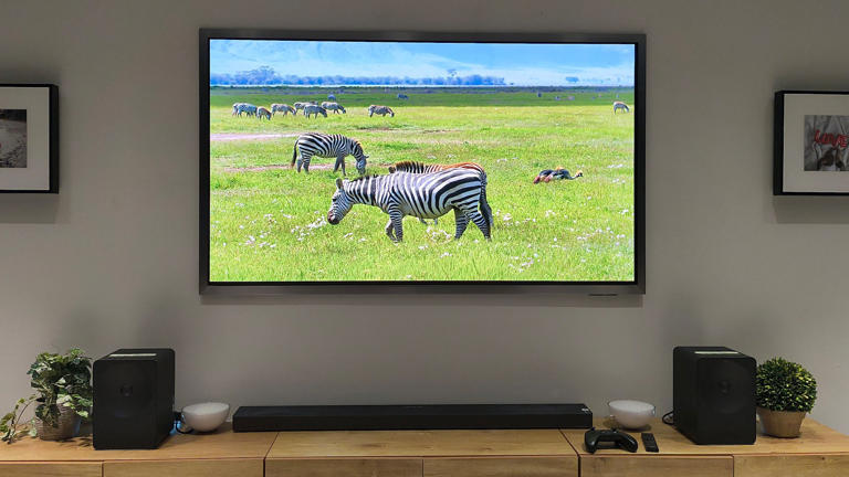 Samsung 65-inch S95H OLED TV