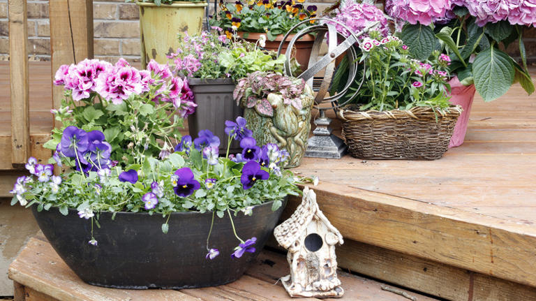 How to make the cutest bird house planter for your porch