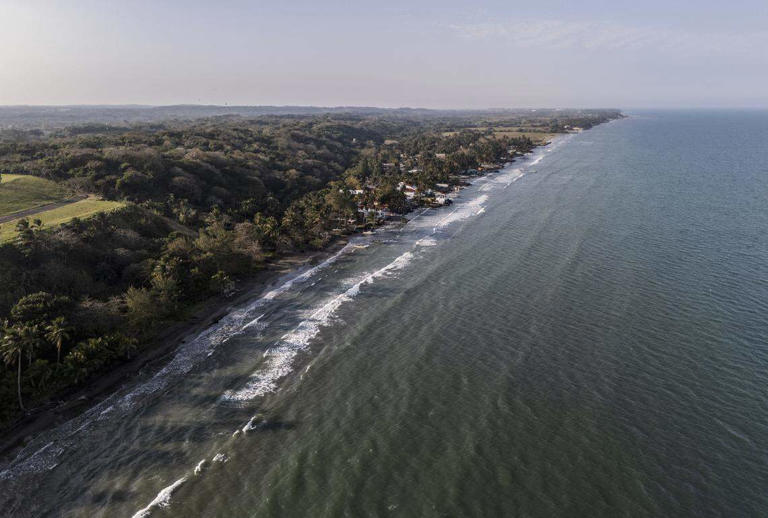 A prehistoric sea monster the size of a bus once ruled the seas of what ...