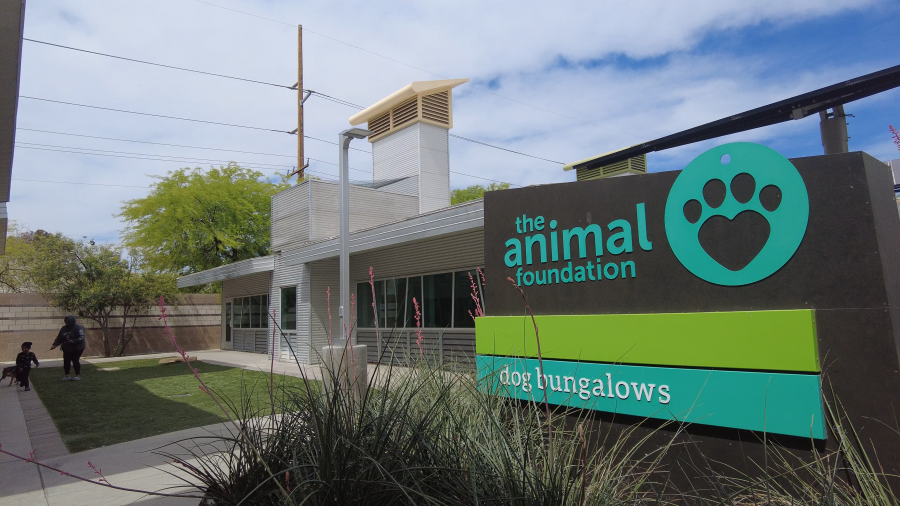 Las Vegas animal shelter’s pantry nearly out of pet food, urgently ...