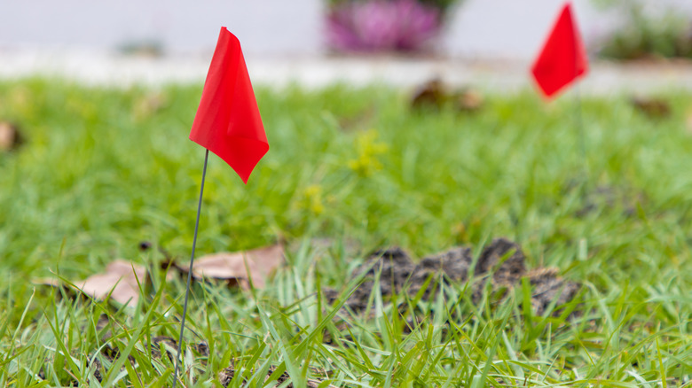 What to do if you find utility flags in your yard