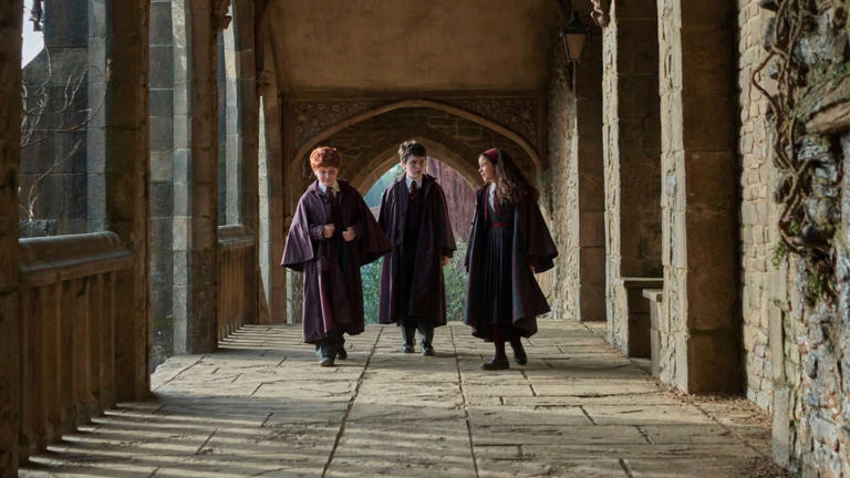Harry Potter's new Hagrid confirms Robbie Coltrane & Stephen King ...