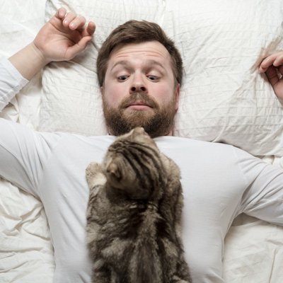 猫が飼い主の「就寝中に襲いかかる」理由4つ 睡眠を邪魔されないための対処法まで