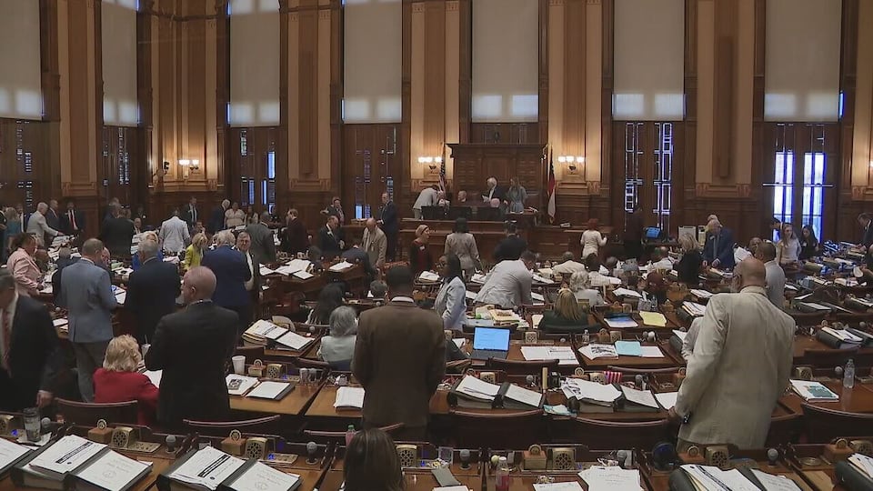 Last day of Georgia legislative session ends with last-minute budget ...