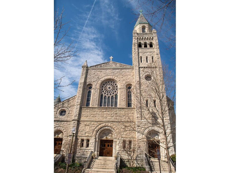 🌱 Patch AM: How DC’s new rat birth control plan could change your block