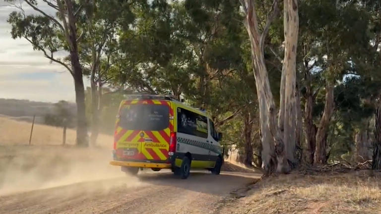 Girl, 7, fighting for life after Adelaide crash