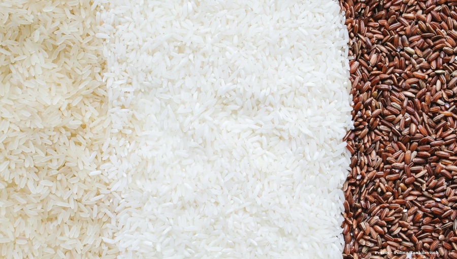 Japan shifts rice policy