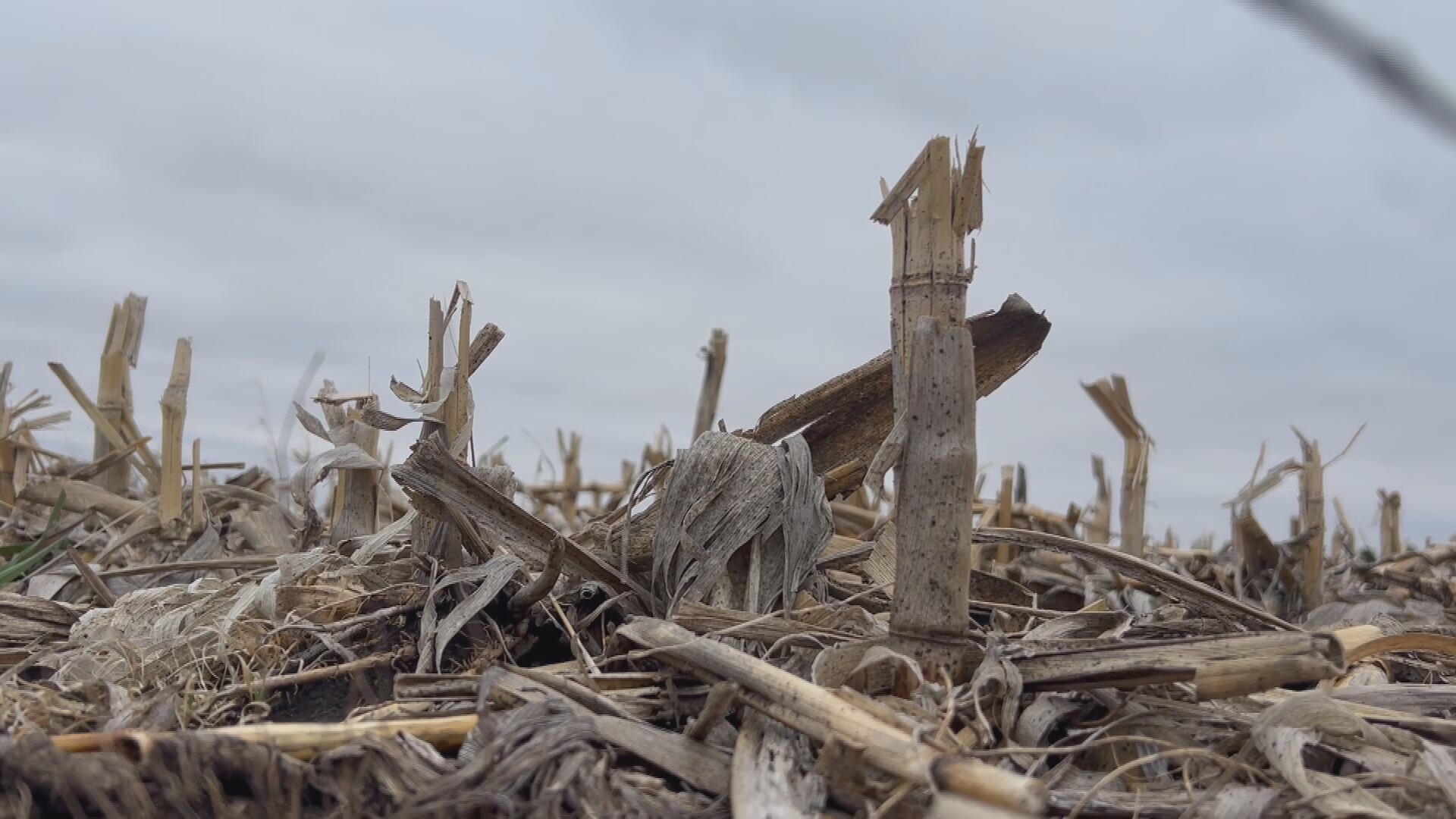 Nebraska burn ban lifted: Fire stations still hold off on issuing burn ...