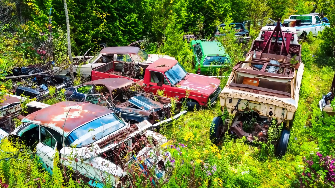 Nature is taking these cars back