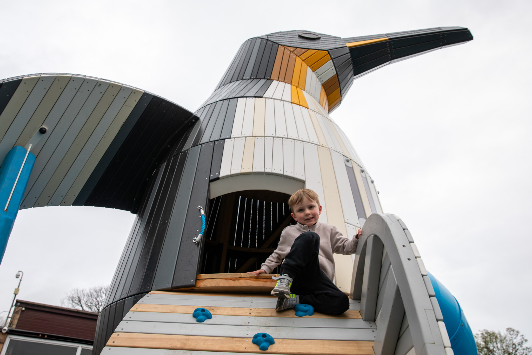 One-of-a-kind playpark with giant penguin opens at Edinburgh Zoo's ...