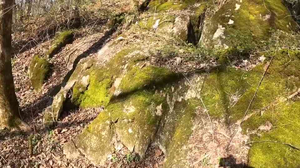 He reached into a sinkhole for a “spear point” - then the wall came ...