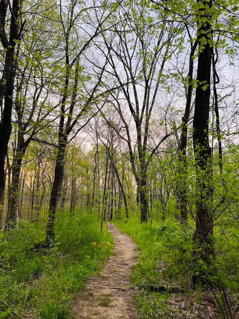 This rugged Indiana ridge hike offers exhilarating backcountry views ...