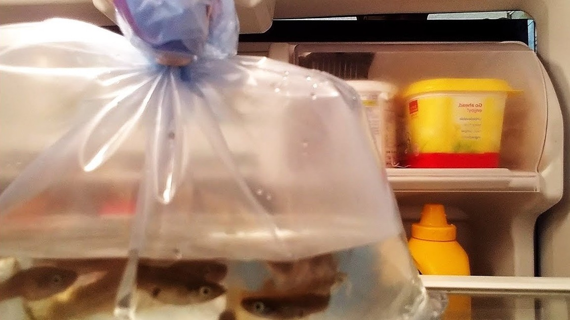 The mistake people make frying small fish