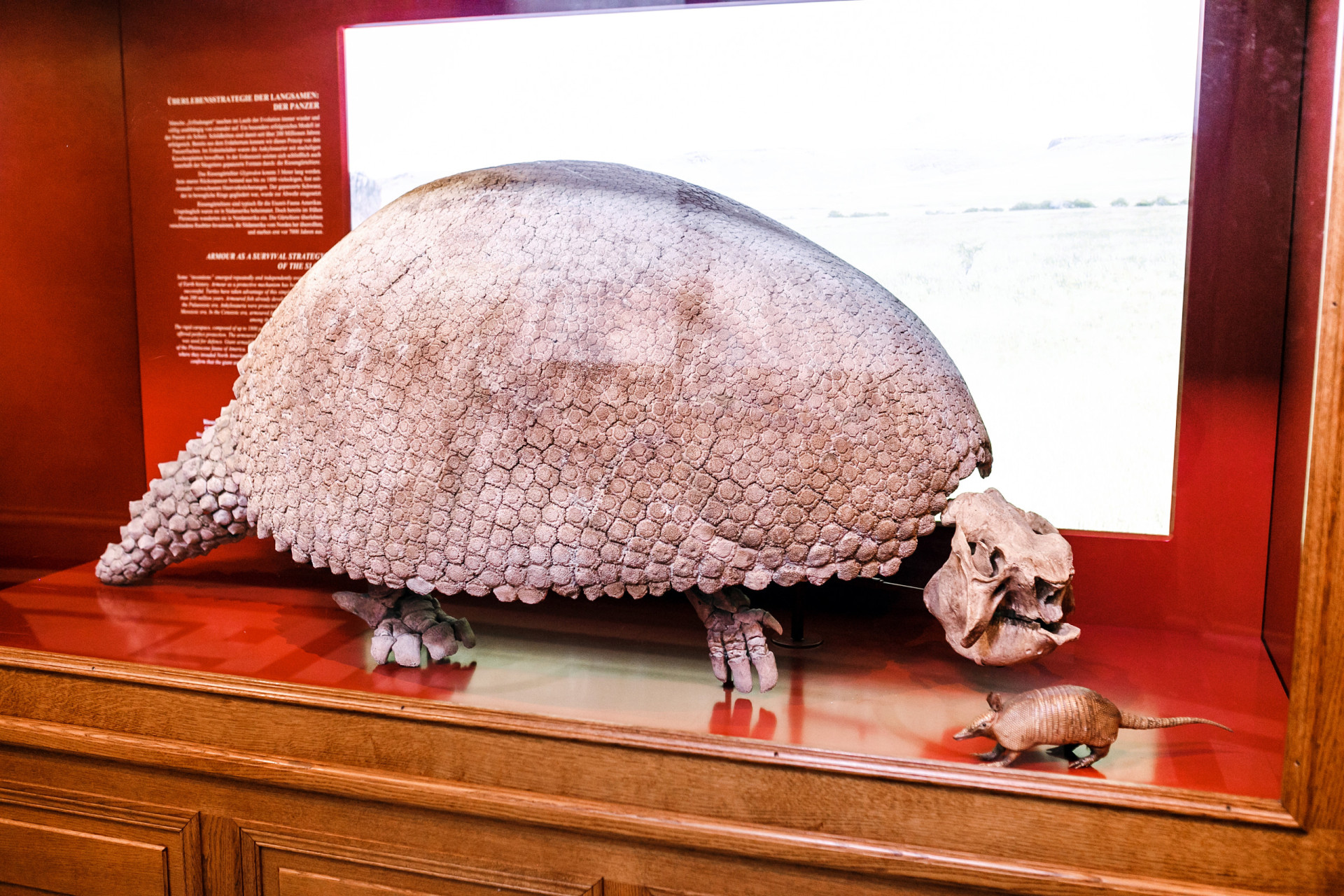 Prehistoric animals you won't believe existed