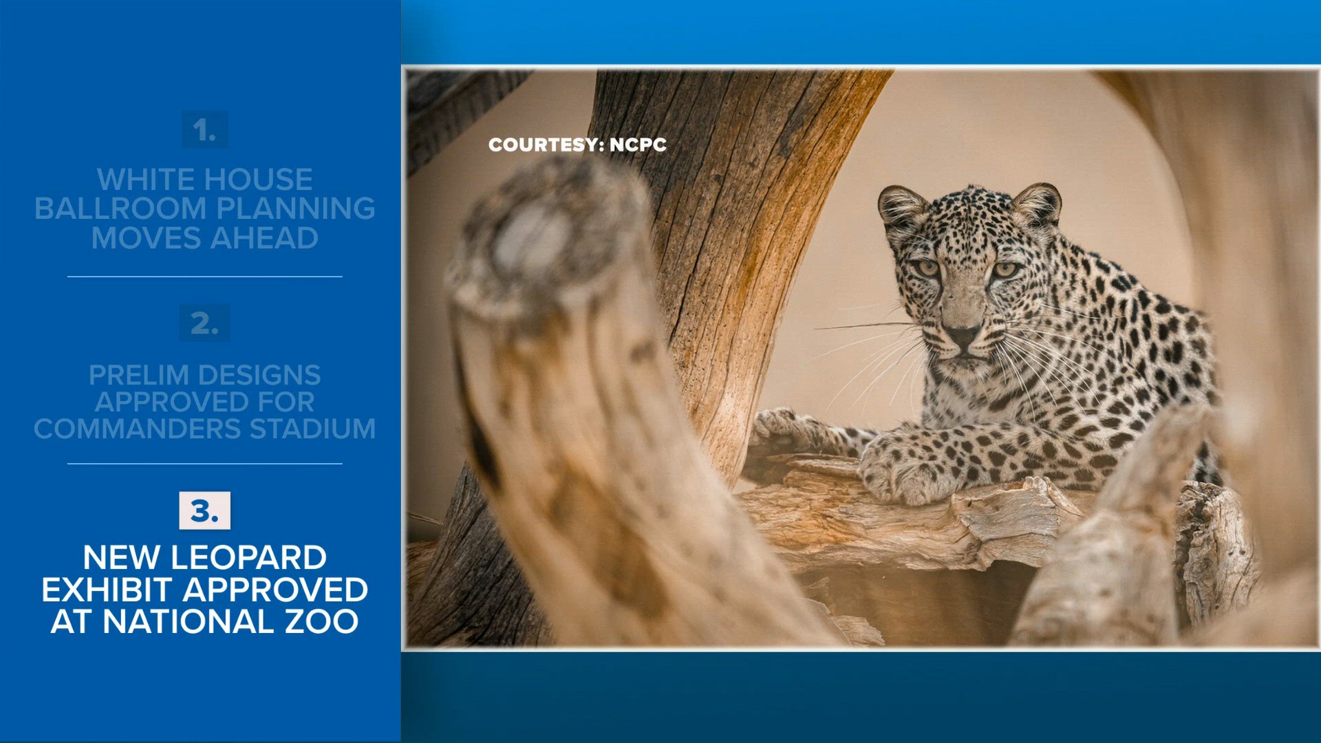 NCPC breakdown: White House ballroom, new Commanders stadium and new ...