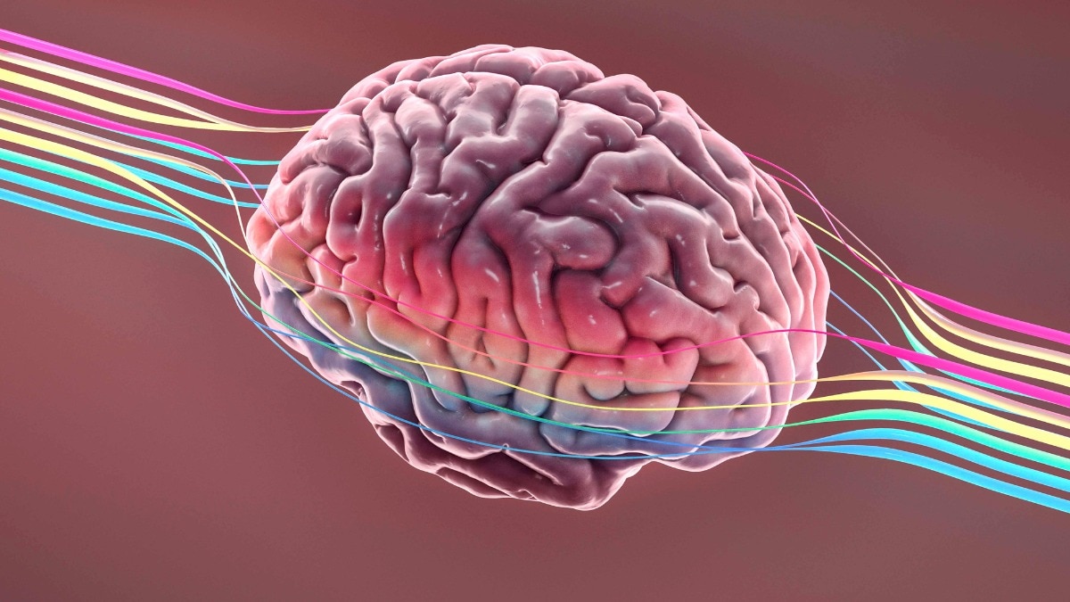 This one vitamin in your 30s could lower dementia risk later in life