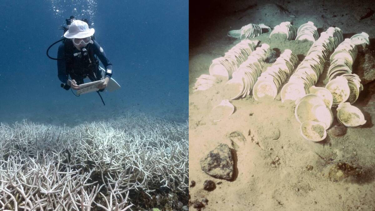 Things you didn't know about the ocean