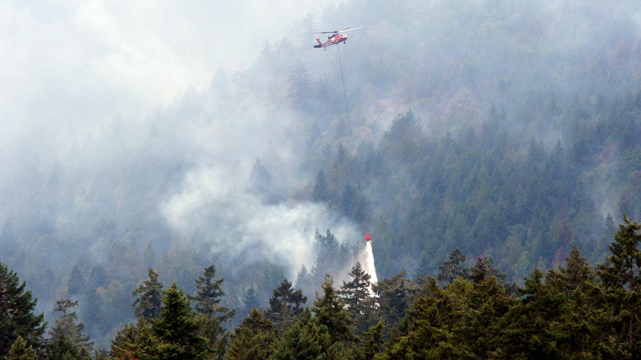 Experts anticipate another active wildfire season