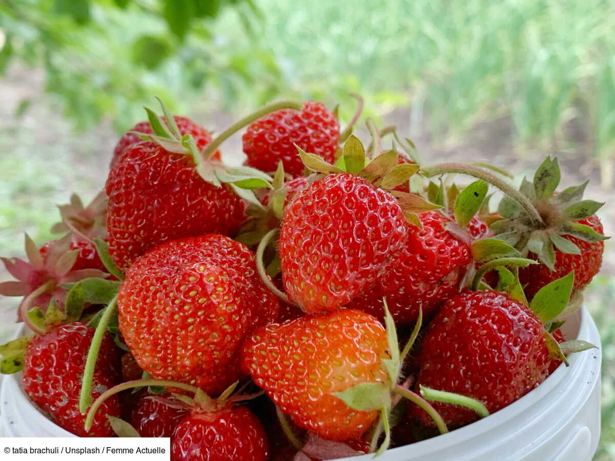 Deux fois plus de fraises ! Les astuces d'un jardinier pour « doubler ...