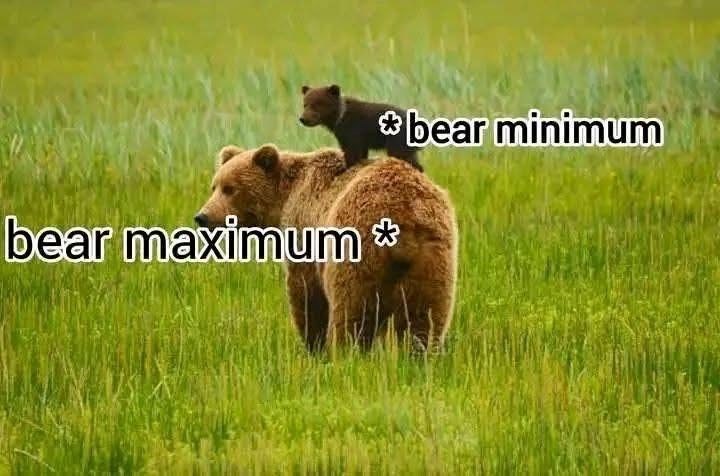 24 brutally cute bear memes for hibernating humans in need of a warm ...