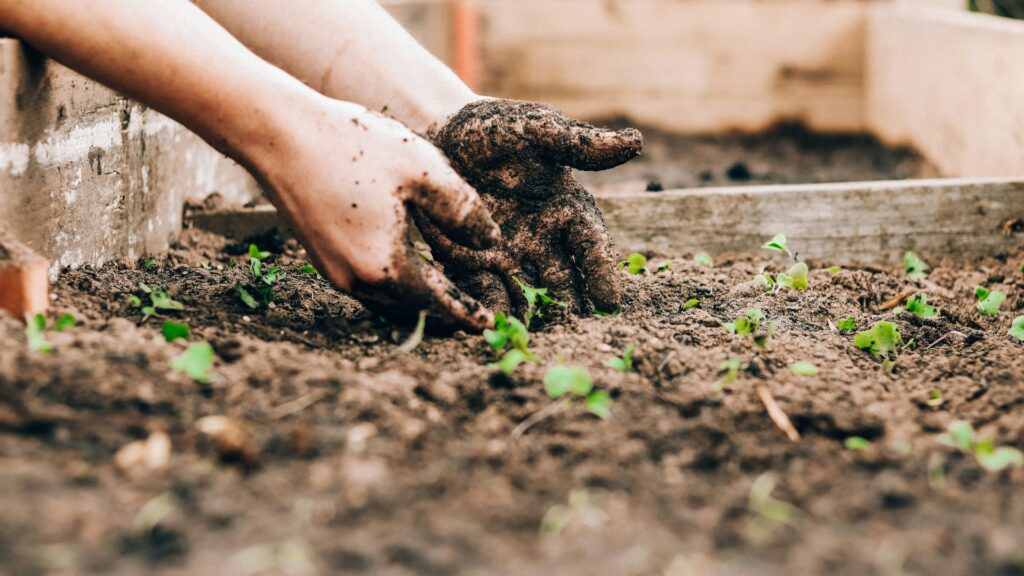 Researcher notices a tiny white speck in the dirt, then realizes what ...