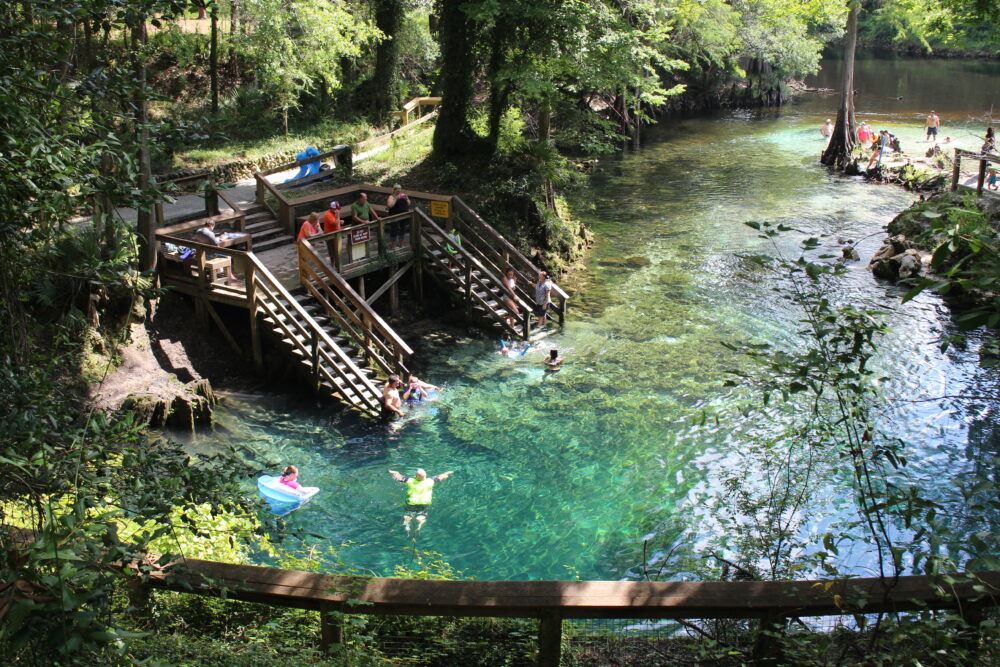 17 Florida nature trips that feel relaxed long before you reach the coast