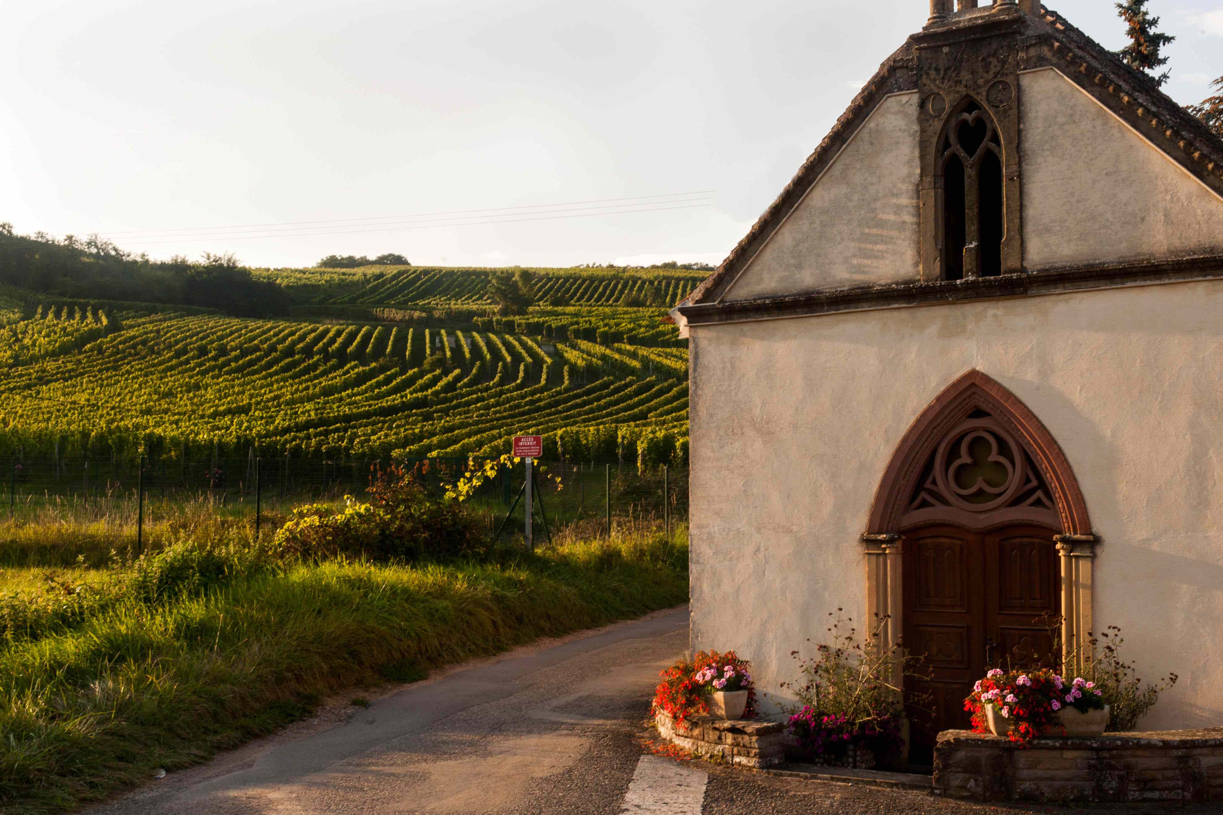 These less-crowded French wine regions are extraordinary with storybook ...