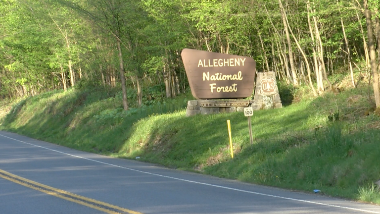 Oil and gas well plugging project starting at Allegheny National Forest
