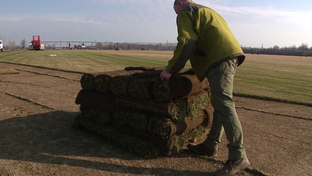 The science of sod in southern Wayne County | Brother Nature
