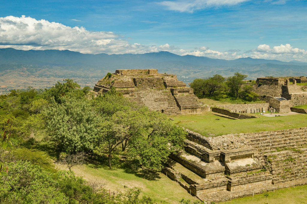 16 authentic agave tasting tours to take in Mexico