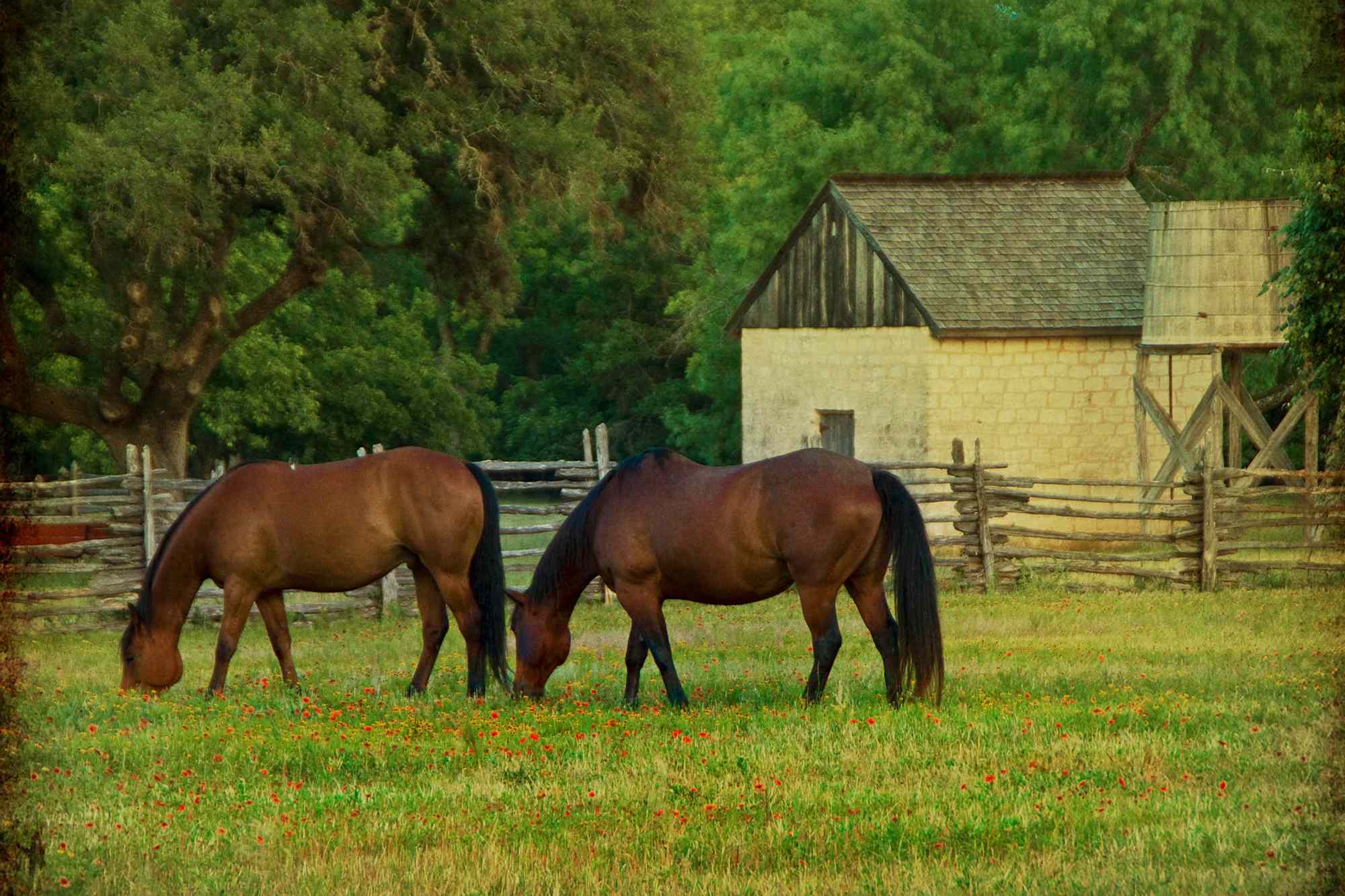 This small Texas town is an affordable alternative to Fredericksburg ...