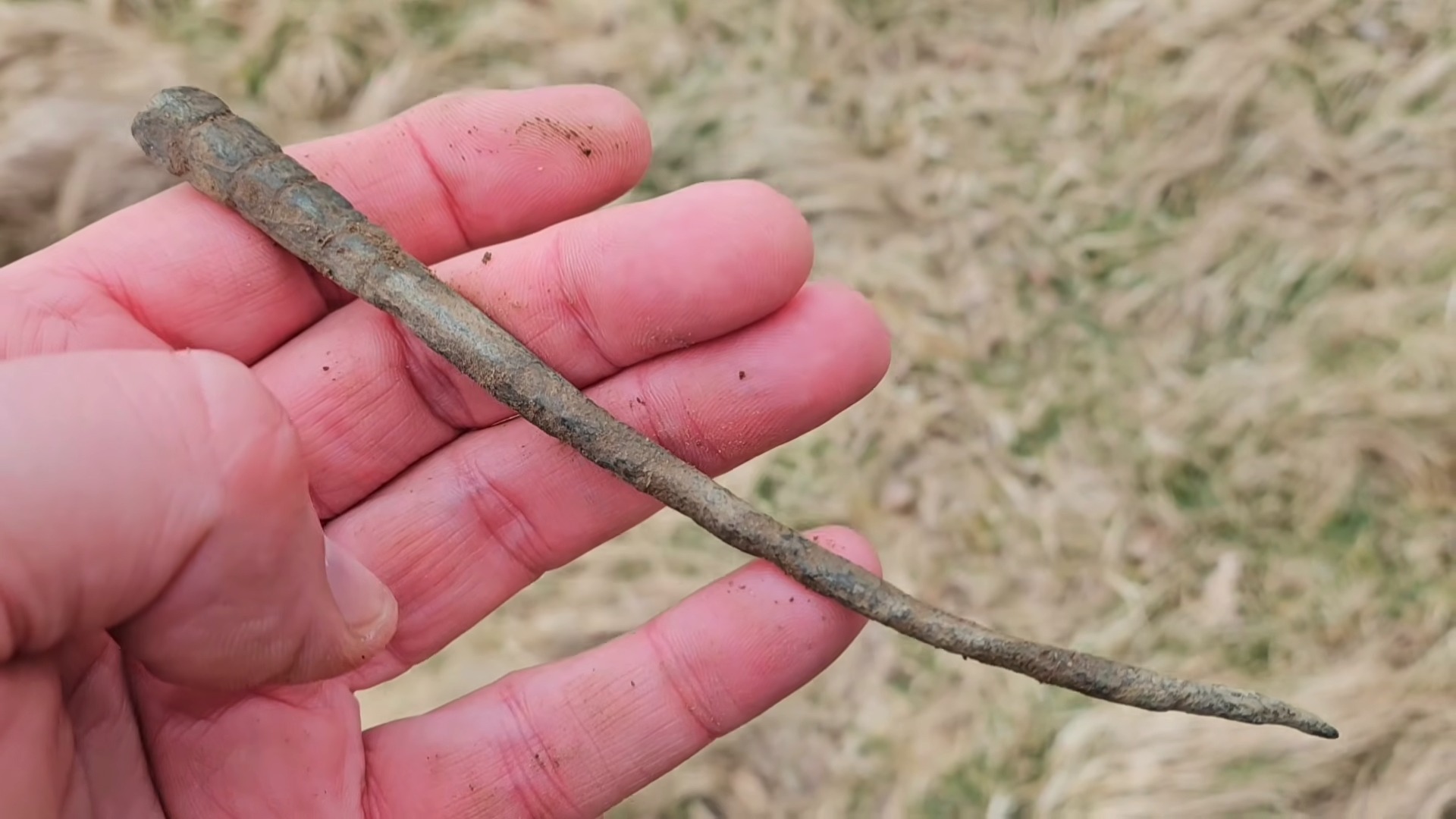 He crossed a river to search an ancient field - then pulled out a 3,000 ...