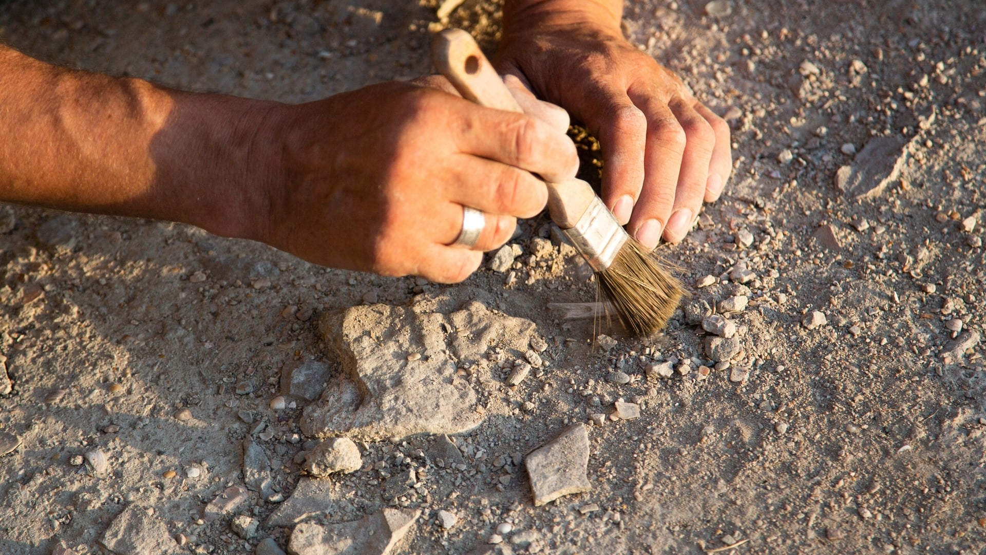 In Morocco, archaeologists may have uncovered the earliest human jewellery