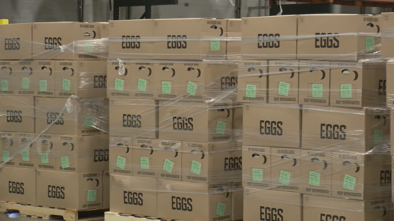 Dakota Layers donates 10,800 eggs to Feeding South Dakota through SDSU ...