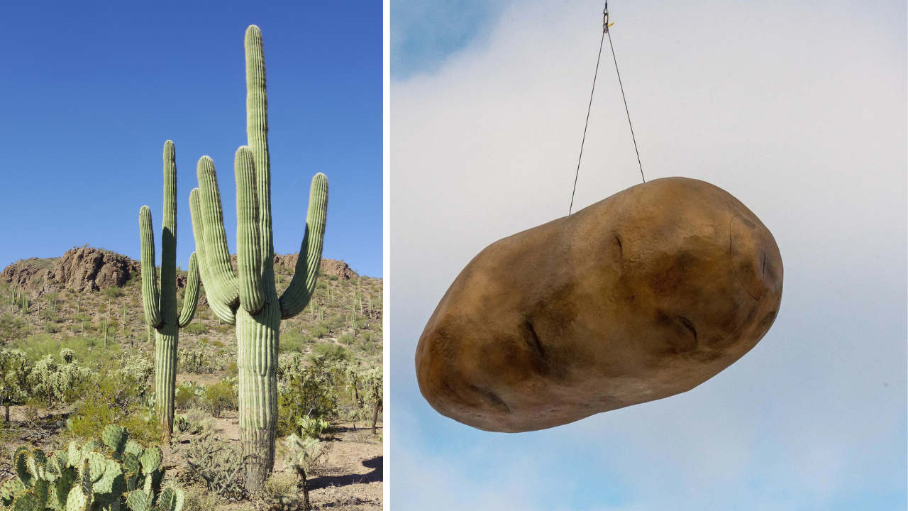 30 things that make every state a little weird