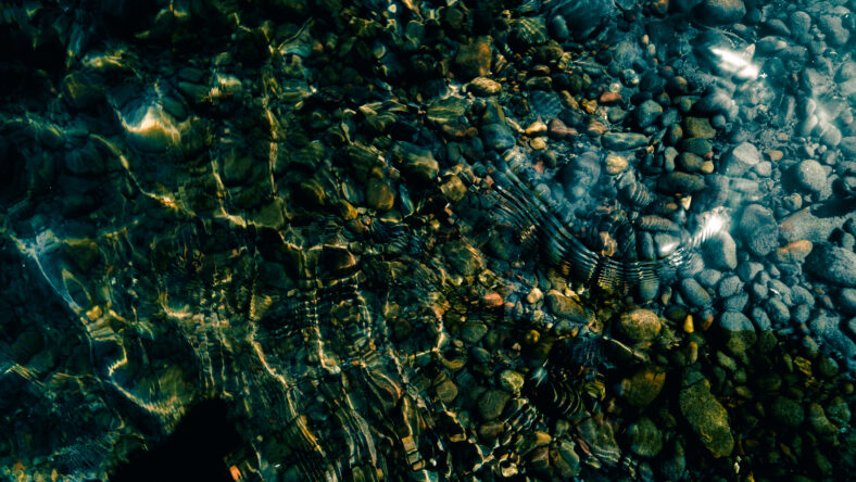 He grew up in the Appalachian Mountains and says the real monsters are ...