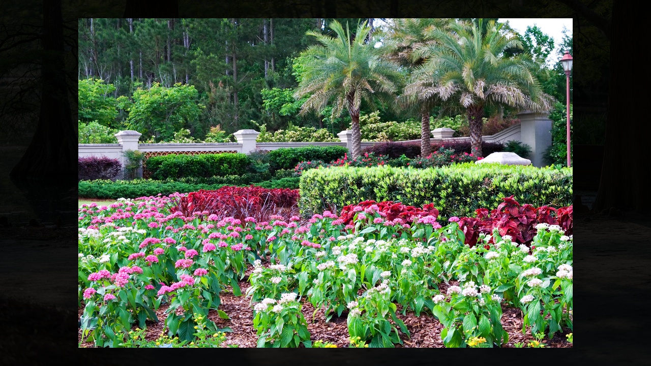 A swamp in South Carolina became the only place in the US where all 8 ...