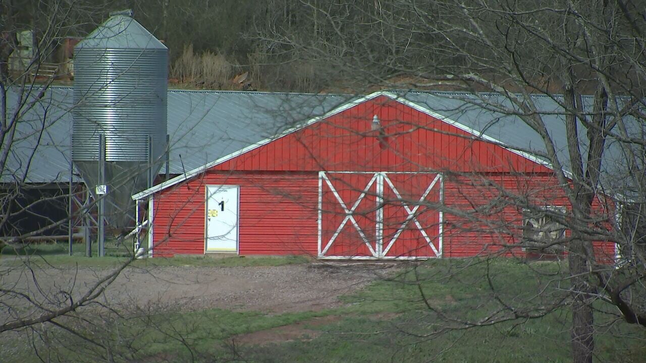‘Have some respect’: Homeowner upset with chicken farm next door