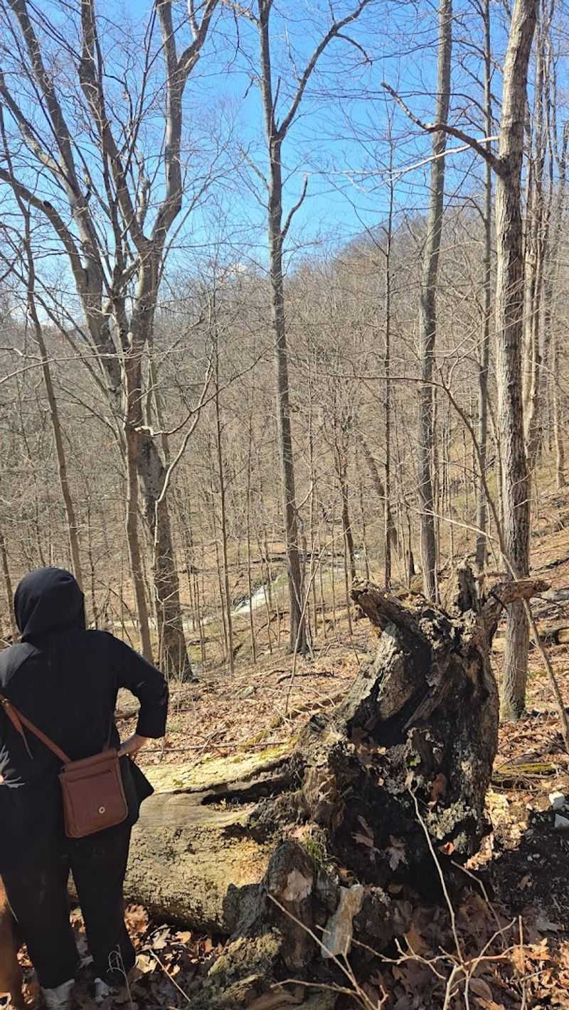 This under-the-radar Indiana trail features a 170-foot stair climb to a ...