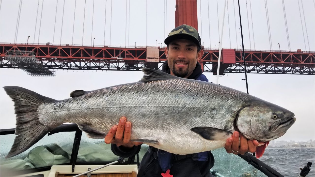 Fishing techniques for giant salmon success