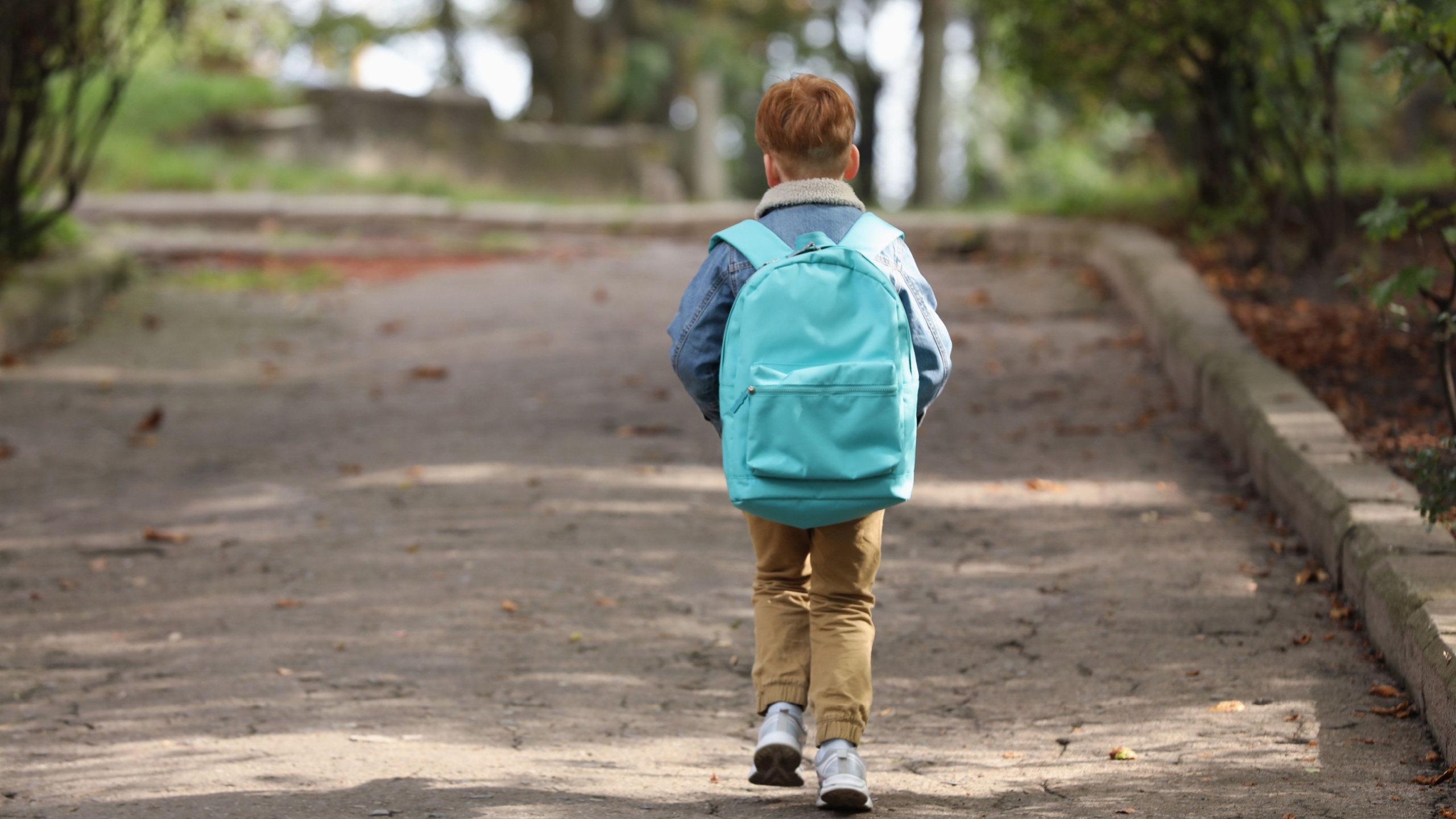 6 things about American childhood that have quietly disappeared in one ...