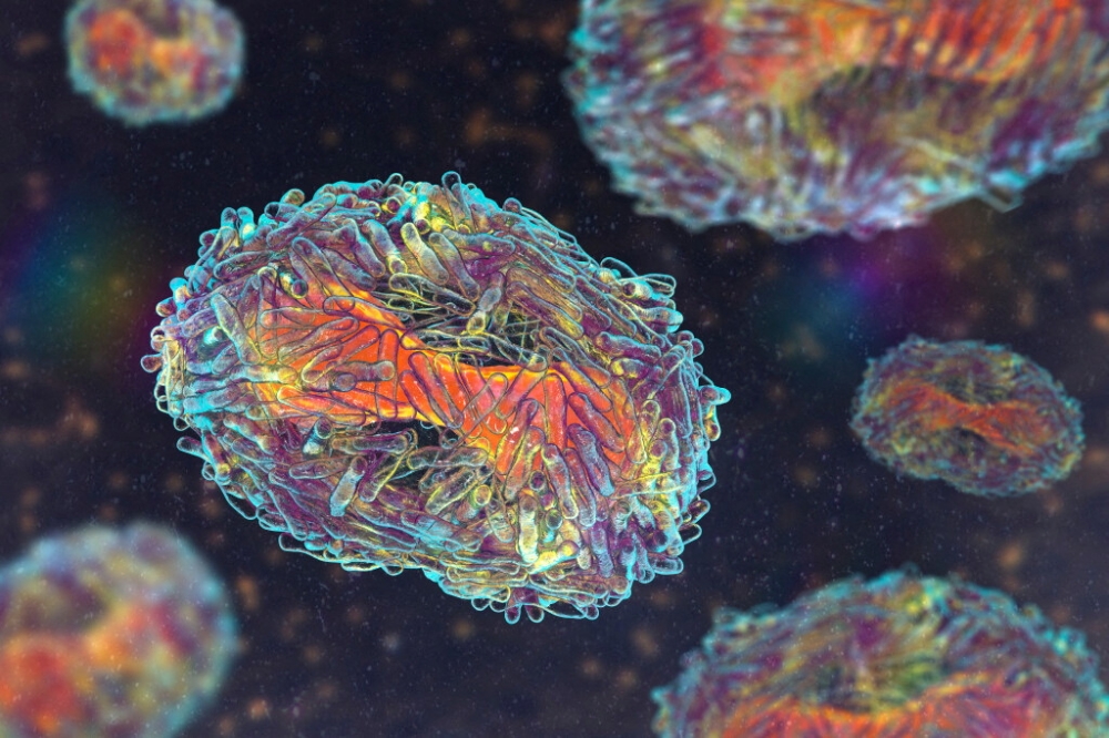 Singapore confirms first locally transmitted MPOX cases, but says risk ...