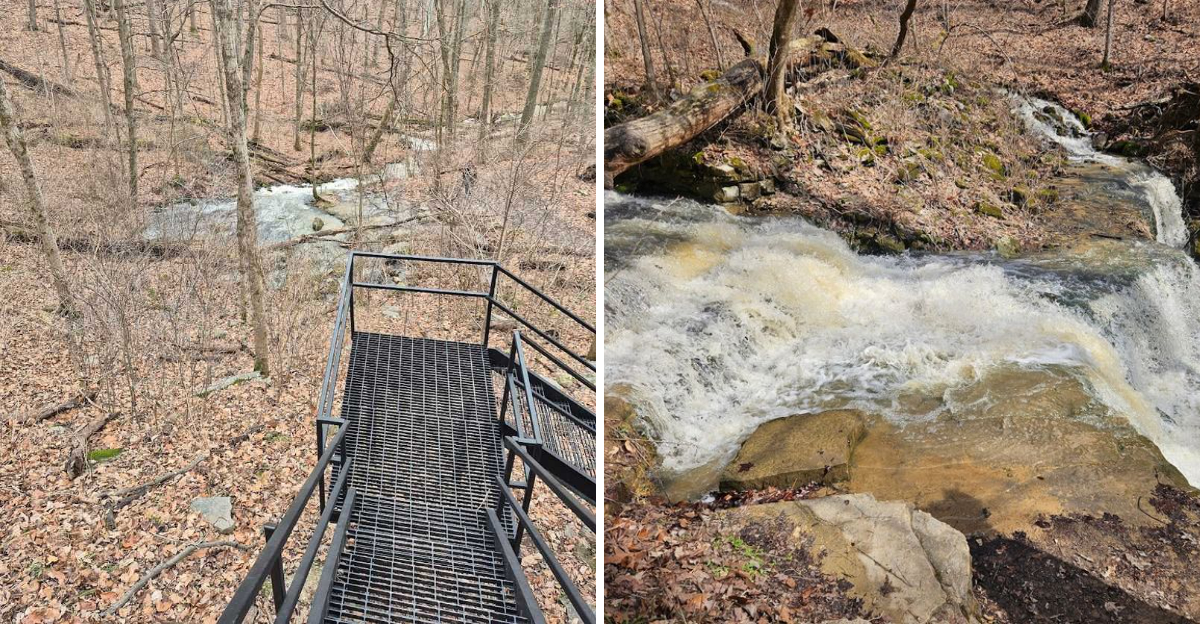 This under-the-radar Indiana trail features a 170-foot stair climb to a ...