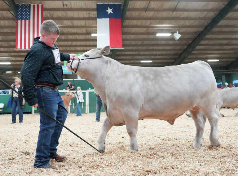 The 2026 Montgomery County Fair kicks off Thursday. Here is what is new ...